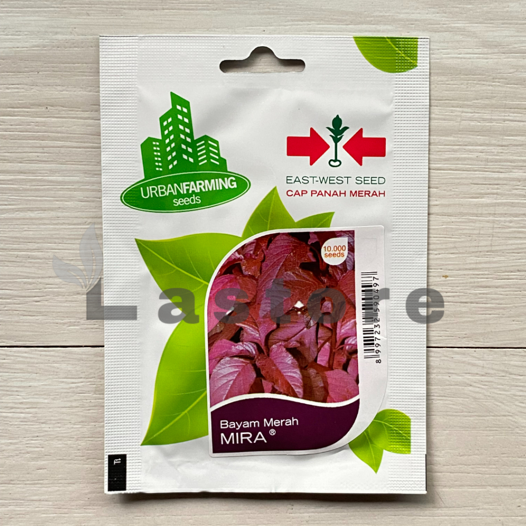 Jual Benih Bayam Merah MIRA Isi 10000 Butir Cap Panah Merah | Shopee ...