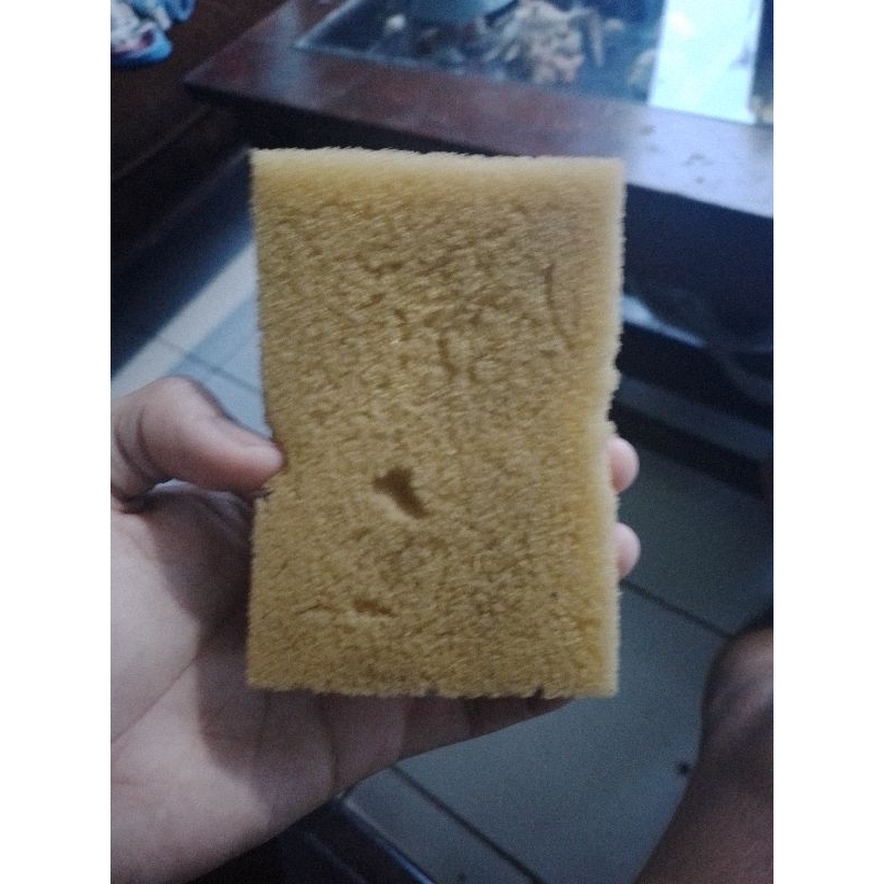 Jual spons-bekas-serbaguna | Shopee Indonesia