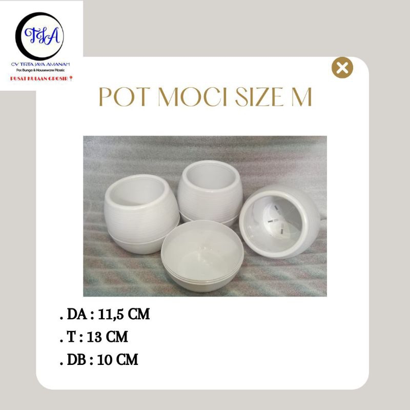 Jual POT MOCI PLASTIK SIZE M/POT BUNGA PLASTIK/POT BUNGA PUTIH | Shopee ...
