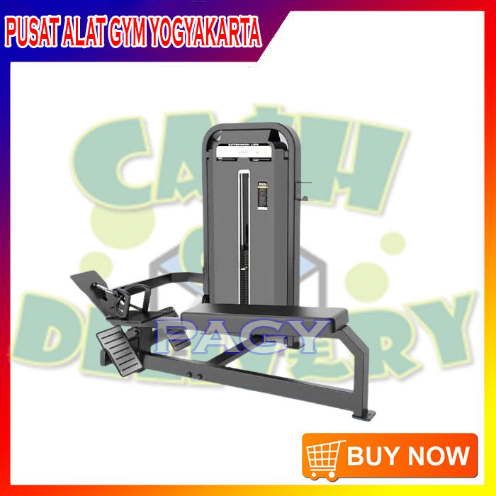 Jual DHZ U3033D Alat Fitness Long Pull / Seated Row Commersial Gym | Shopee Indonesia