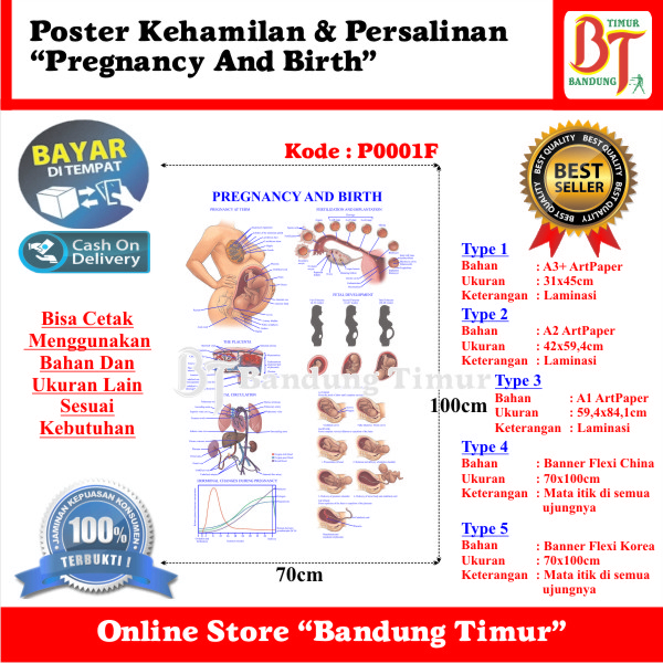 Jual POSTER KEHAMILAN DAN PERSALINAN PREGNANCY AND BIRTH | Shopee Indonesia