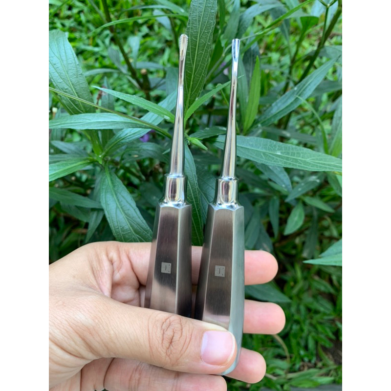 Jual DENTAL BEIN ROOT LUXATOR UP DOWN ELEVAOR STAINLISS STEEL (ISI 2 ...