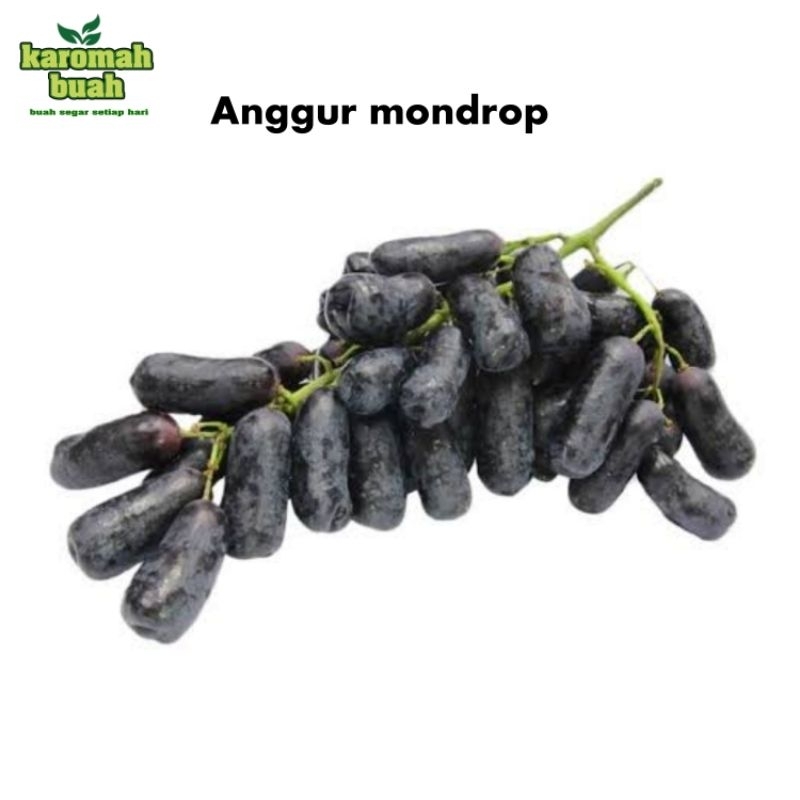 Jual BUAH ANGGUR HITAM MONDROP 500 GRAM ( ANGGUR JARI ) / ANGGUR ...