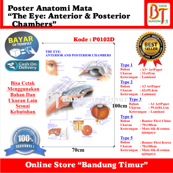 Jual POSTER ANATOMI MATA - THE EYE ANTERIOR AND POSTERIOR CHAMBERS ...