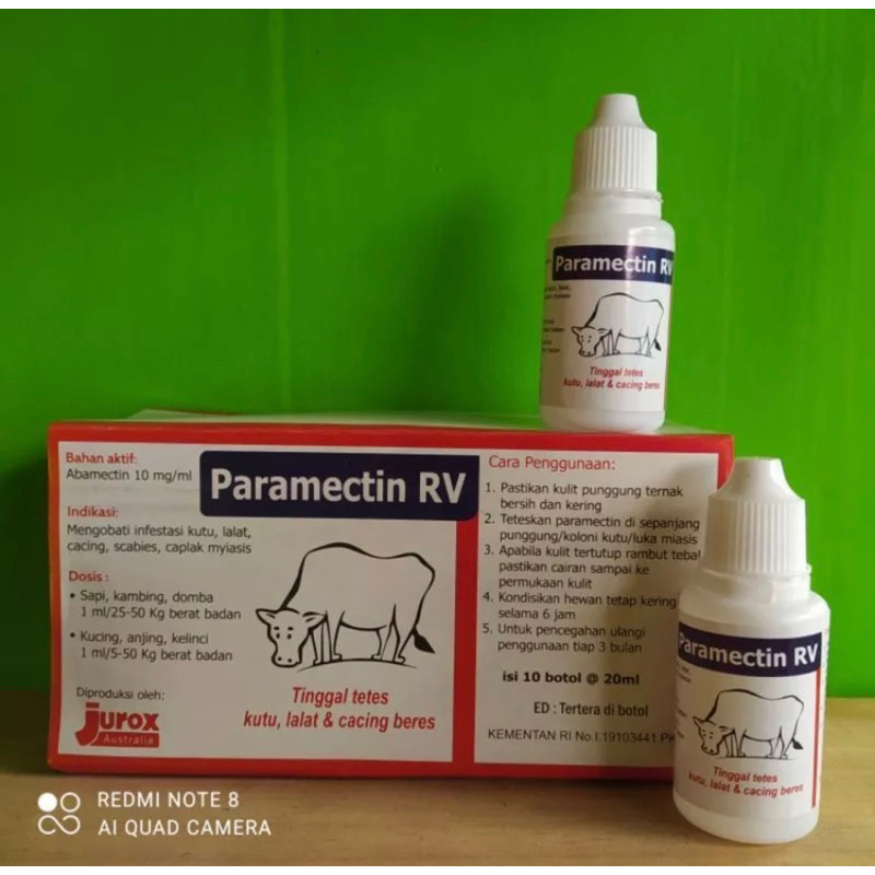 Jual PARAMECTIN RV OBAT KUTU SCABIES CAPALAK | Shopee Indonesia