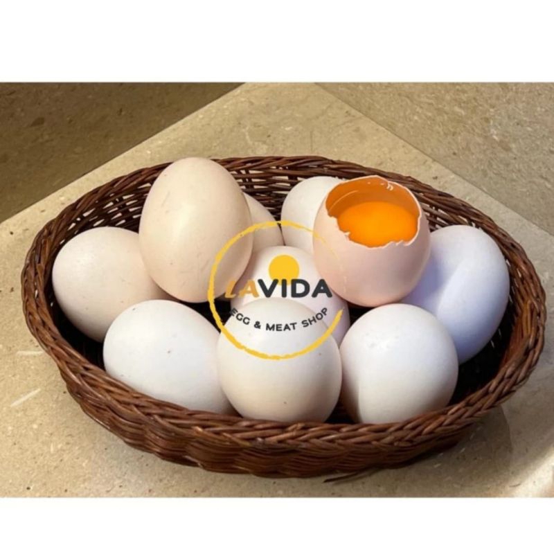 Jual Telur Ayam Kampung OMEGA / butir | Shopee Indonesia