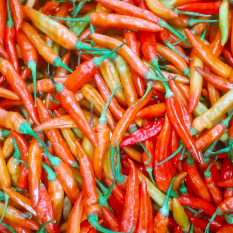 Jual Cabe rawit super 1 kg | Shopee Indonesia
