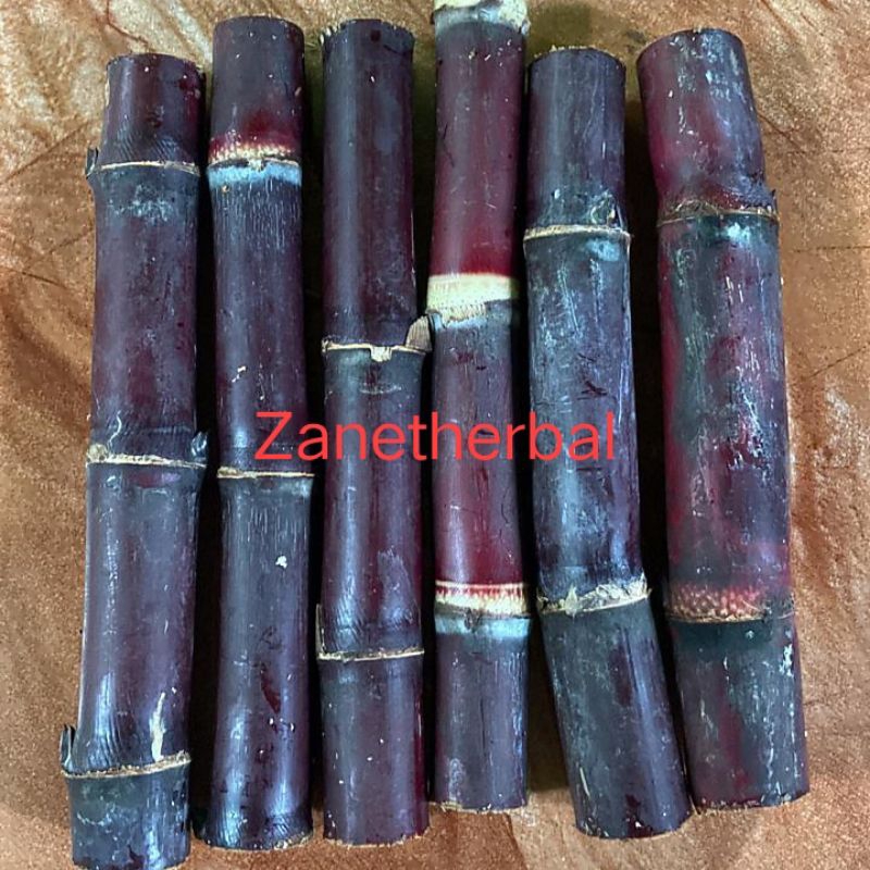 Jual Batang tebu ireng tebu hitam tebu wulung isi 10 batang-az | Shopee ...