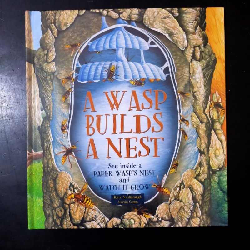 Jual A Wasp Builds A Nest - Kate Scarborough & Martin Camm [Picture ...