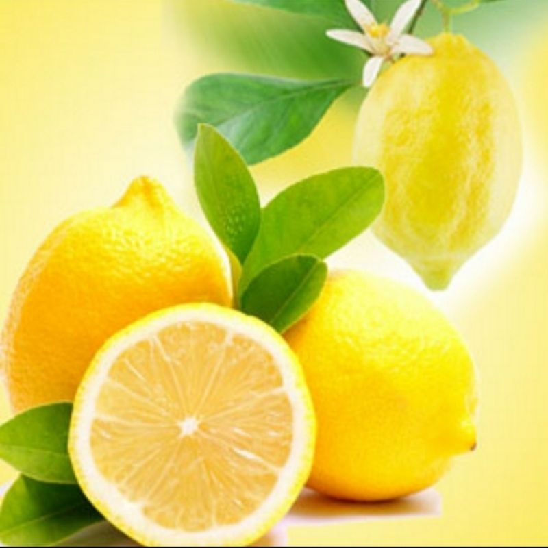 Jual bibit parfum jeruk lemon 50 ml | Shopee Indonesia