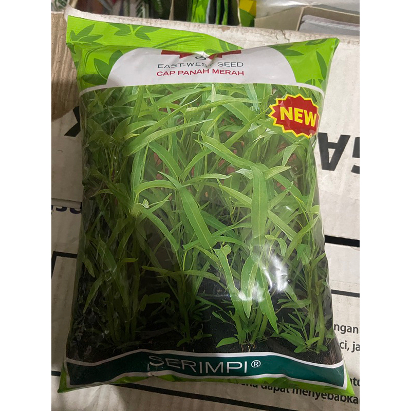 Jual Kangkung Serimpi | Shopee Indonesia