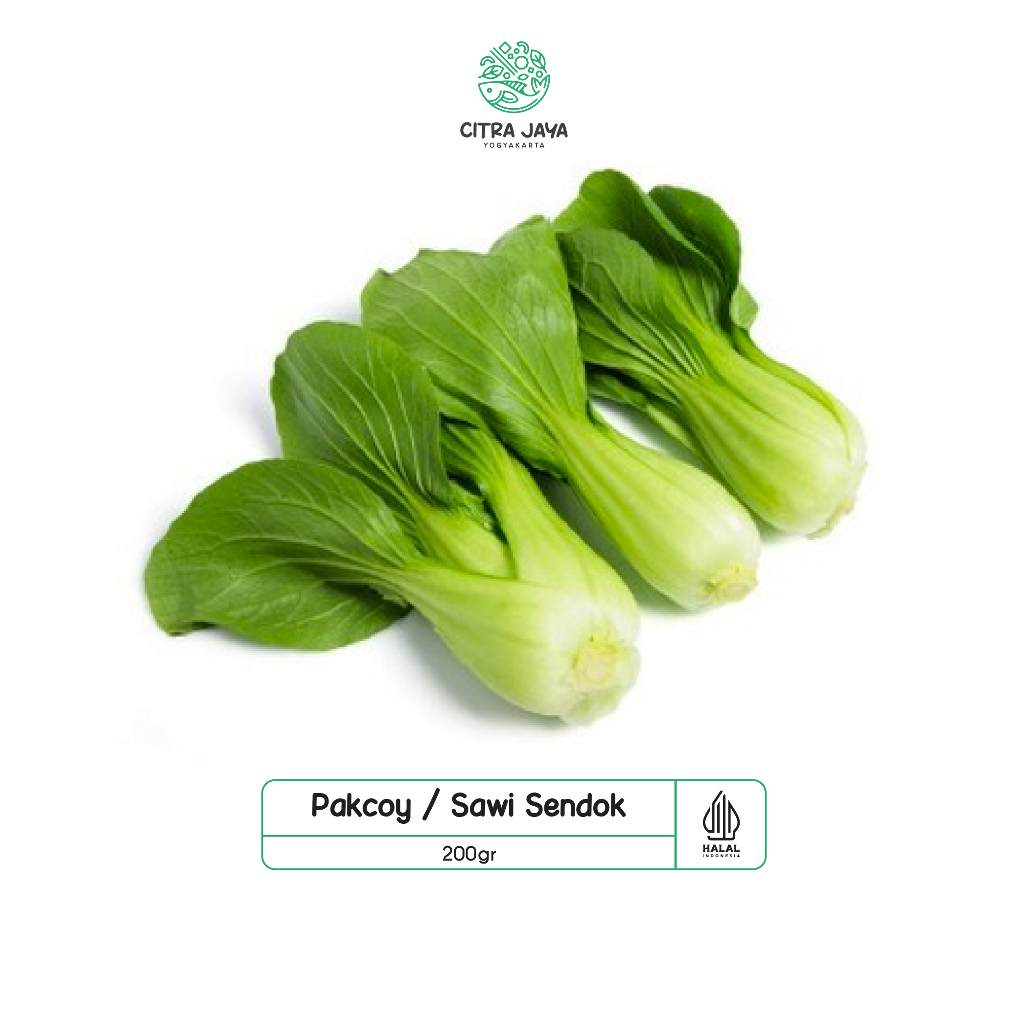 Jual Sawi Sendok / Packcoy 200g - Citra Jaya Yogyakarta | Shopee Indonesia