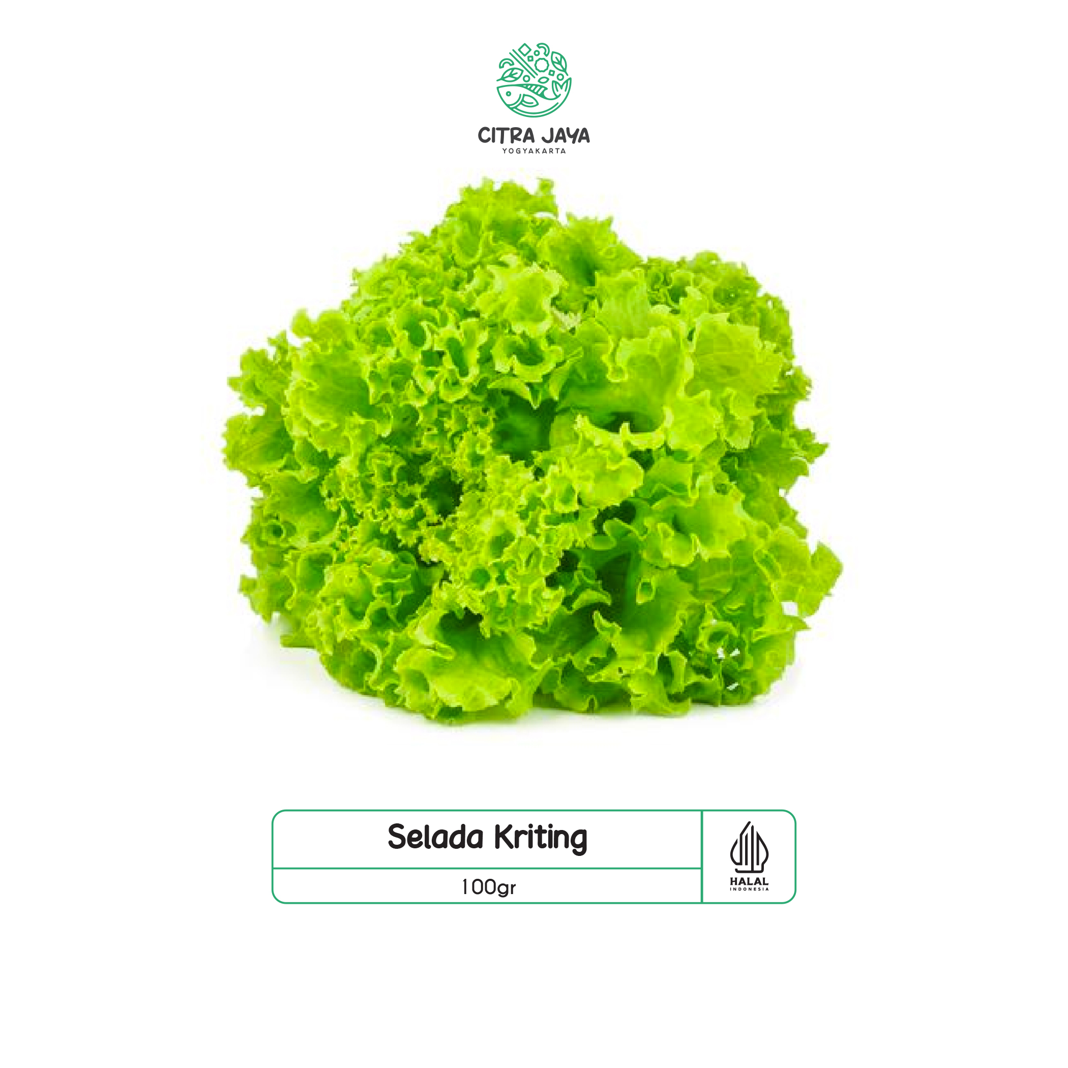 Jual Selada Keriting 100g - Citra Jaya Yogyakarta | Shopee Indonesia