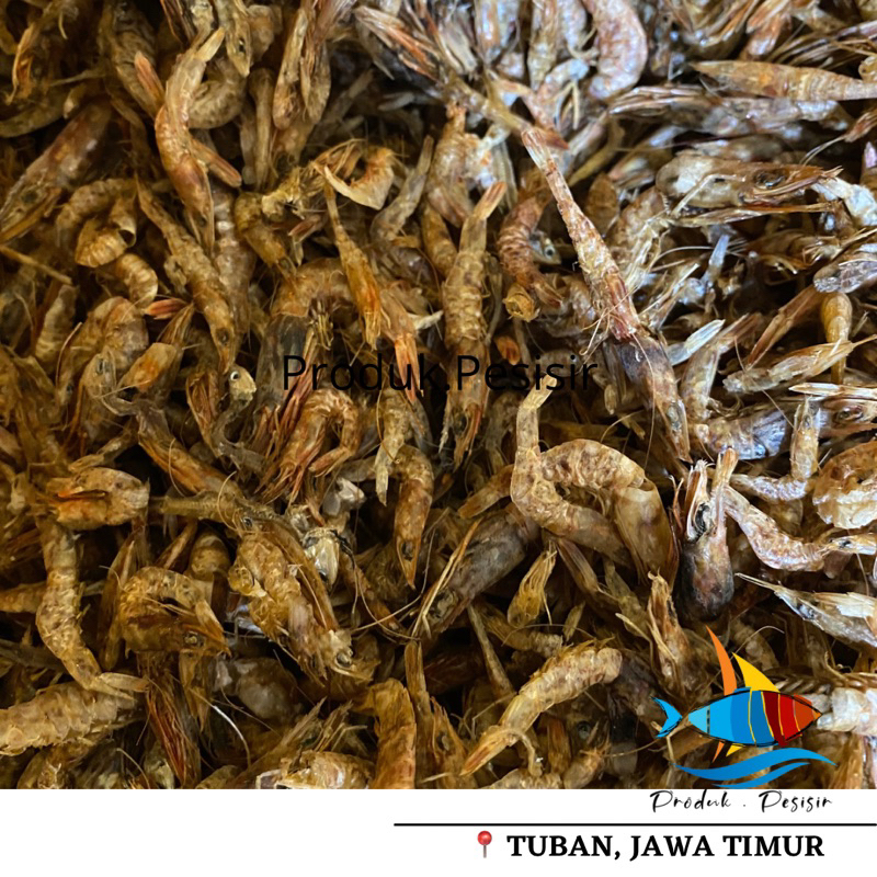 Jual 1 kg Udang Kering Tawar/ Rebon/ Pakan Ikan channa | Shopee Indonesia