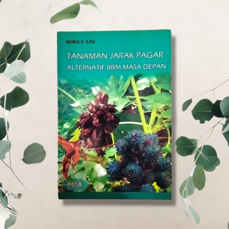 Jual Tanaman Jarak Pagar | Shopee Indonesia