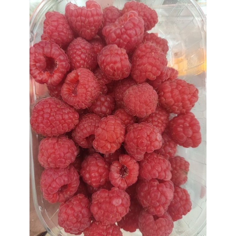 Jual Buah Raspberry Celebrations All Natural 125 Grm | Shopee Indonesia
