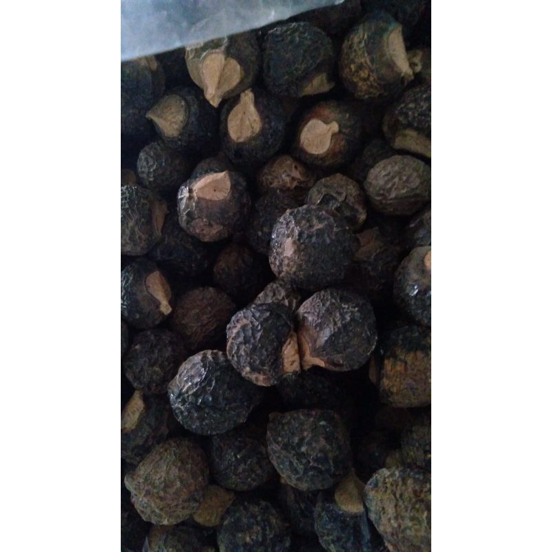 Jual Buah Lerak 1kg | Shopee Indonesia