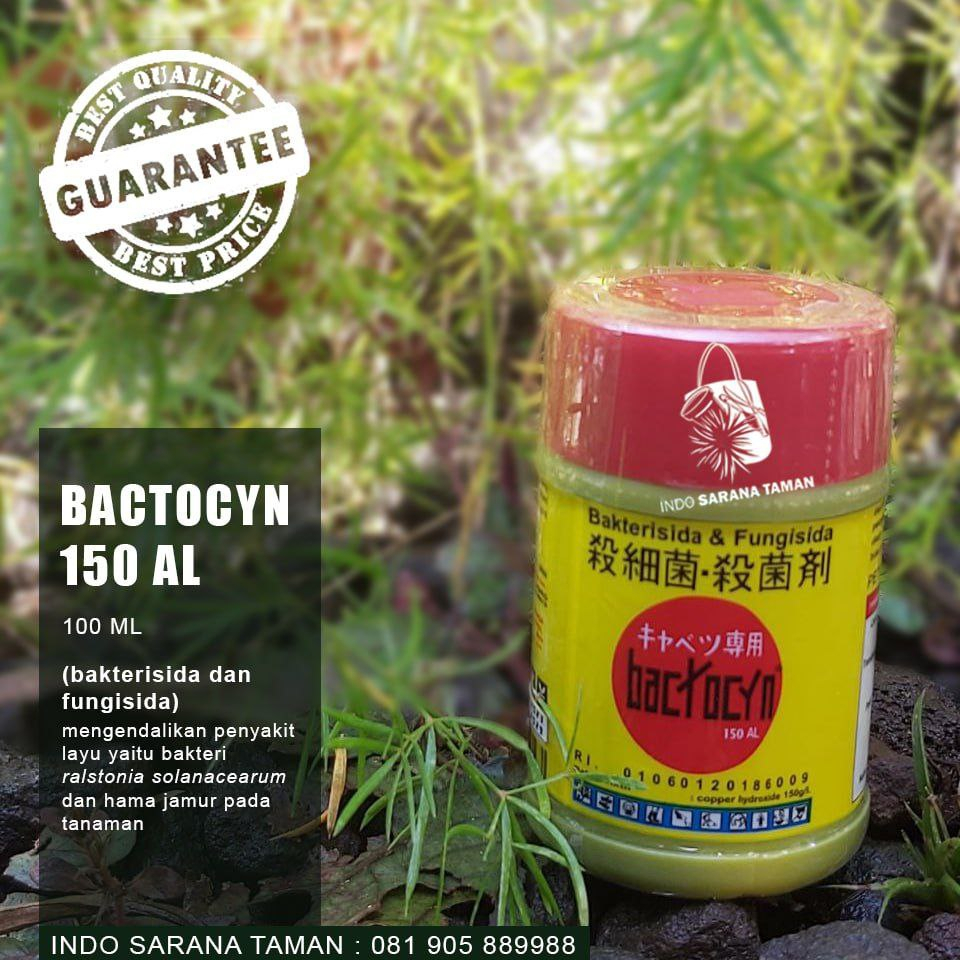 Jual FUNGISIDA BACTOCYN 150 AL 100 ML Bakterisida Pestisida Pengendali ...
