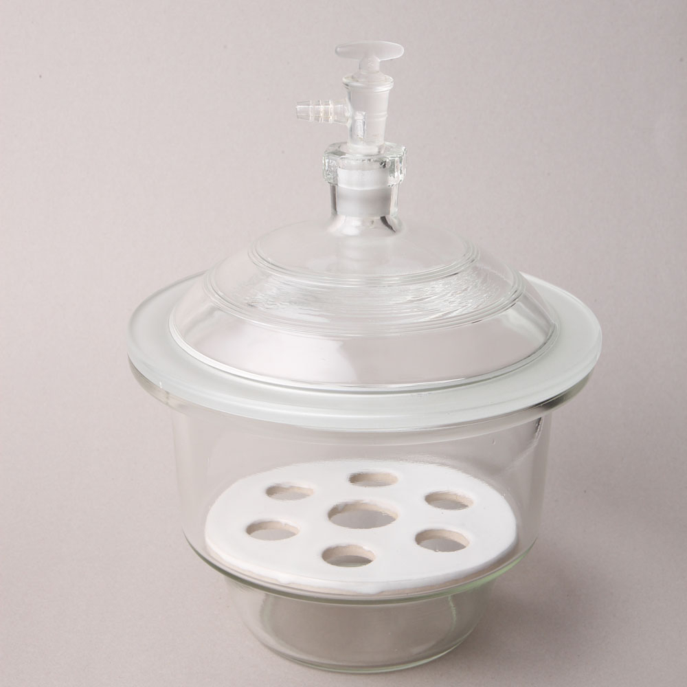 Jual Vacuum Desiccator Desicator with porcelain plate 150mm 15cm ...