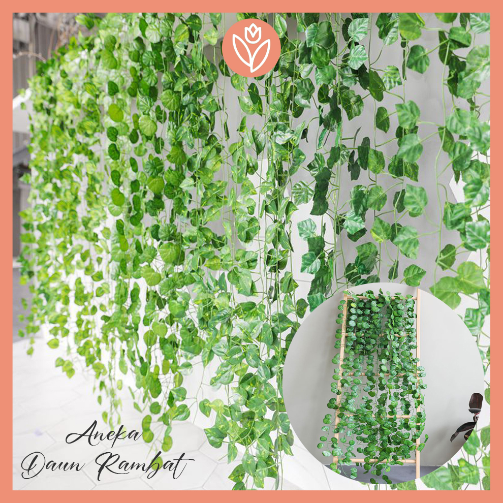 Jual TULIP PAPERIE DAUN RAMBAT PALSU BAHAN PLASTIK ANGGUR SULUR 2M ...