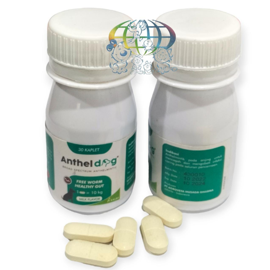 Jual Anthel Dog Kalbe Farma Obat Cacing Anjing per 10 kg 1 Tablet ...