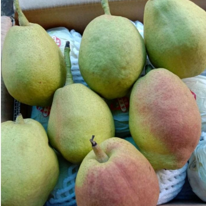 Jual Buah Pear Xiang Lie Manis Fresh / 1 Kg | Shopee Indonesia
