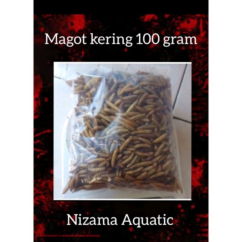 Jual maggot kering 100gr/magot kering/Maggot Bsf/Magot/ | Shopee Indonesia