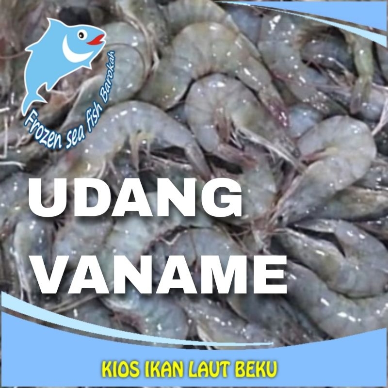Jual tersedia Udang vename ukuran sedang dan kecil ya mom | Shopee ...
