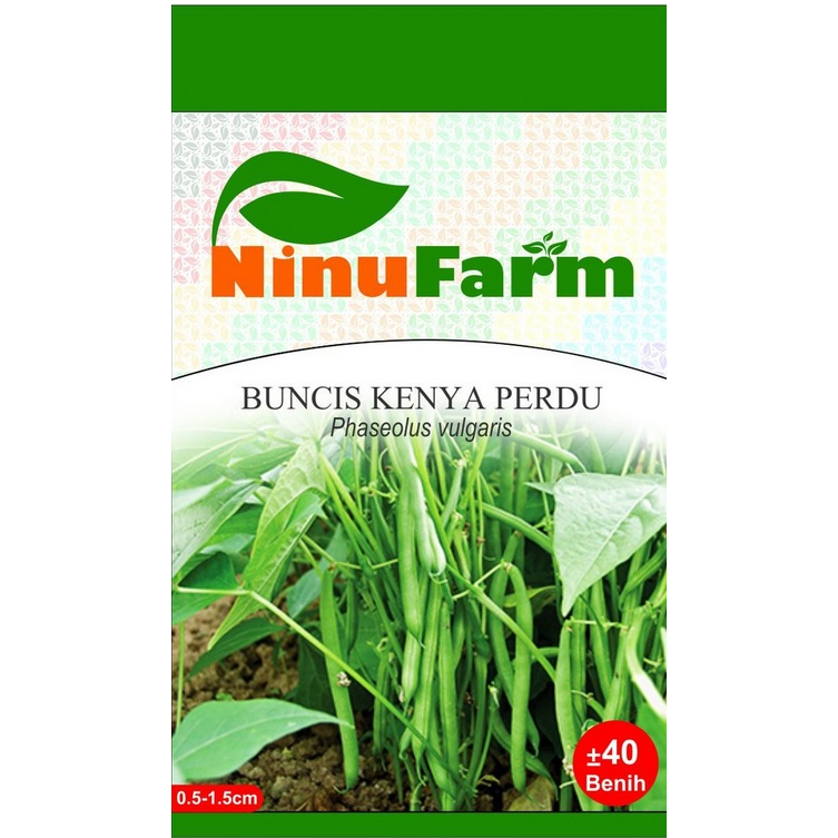 Jual BENIH BUNCIS KENYA PERDU - KENYA GREEN BEANS - NINUFARM - 50 BUTIR ...