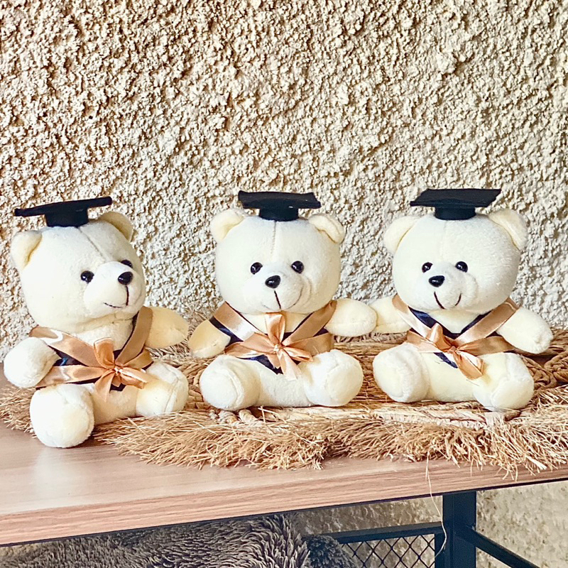 Jual Boneka Mini Buket Teddy Bear Boneka Kecil 15cm Bahan Halus Velbo ...