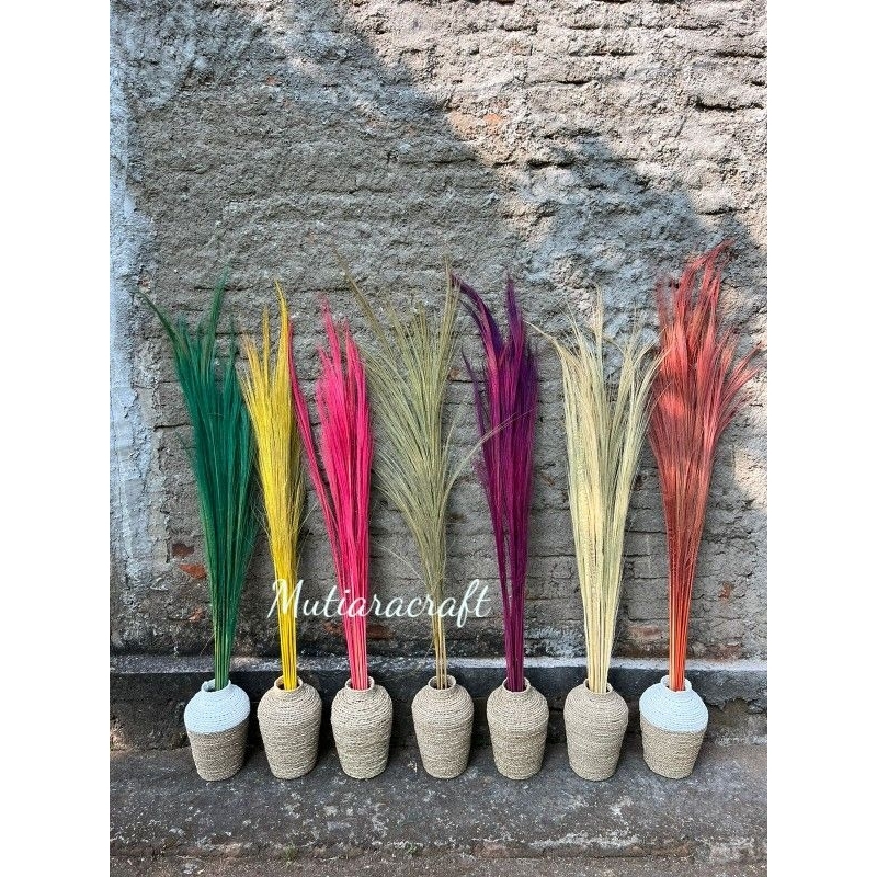 Jual RAYUNG Rayung/Dried Pampas Grass Lokal Tanpa Bulu/Bunga Kering ...