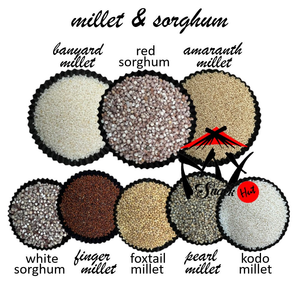Jual MILLET SORGHUM BERAS BIJI PEARL KODO FOXTAIL AMARATH FINGER ...