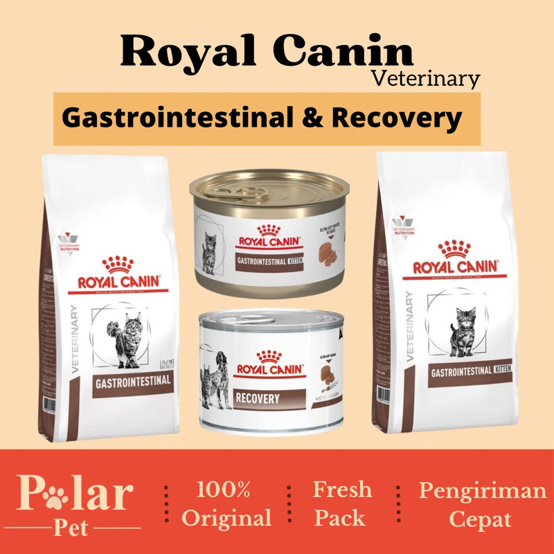 Jual Royal Canin Recovery Gastrointestinal cat food makanan obat ...