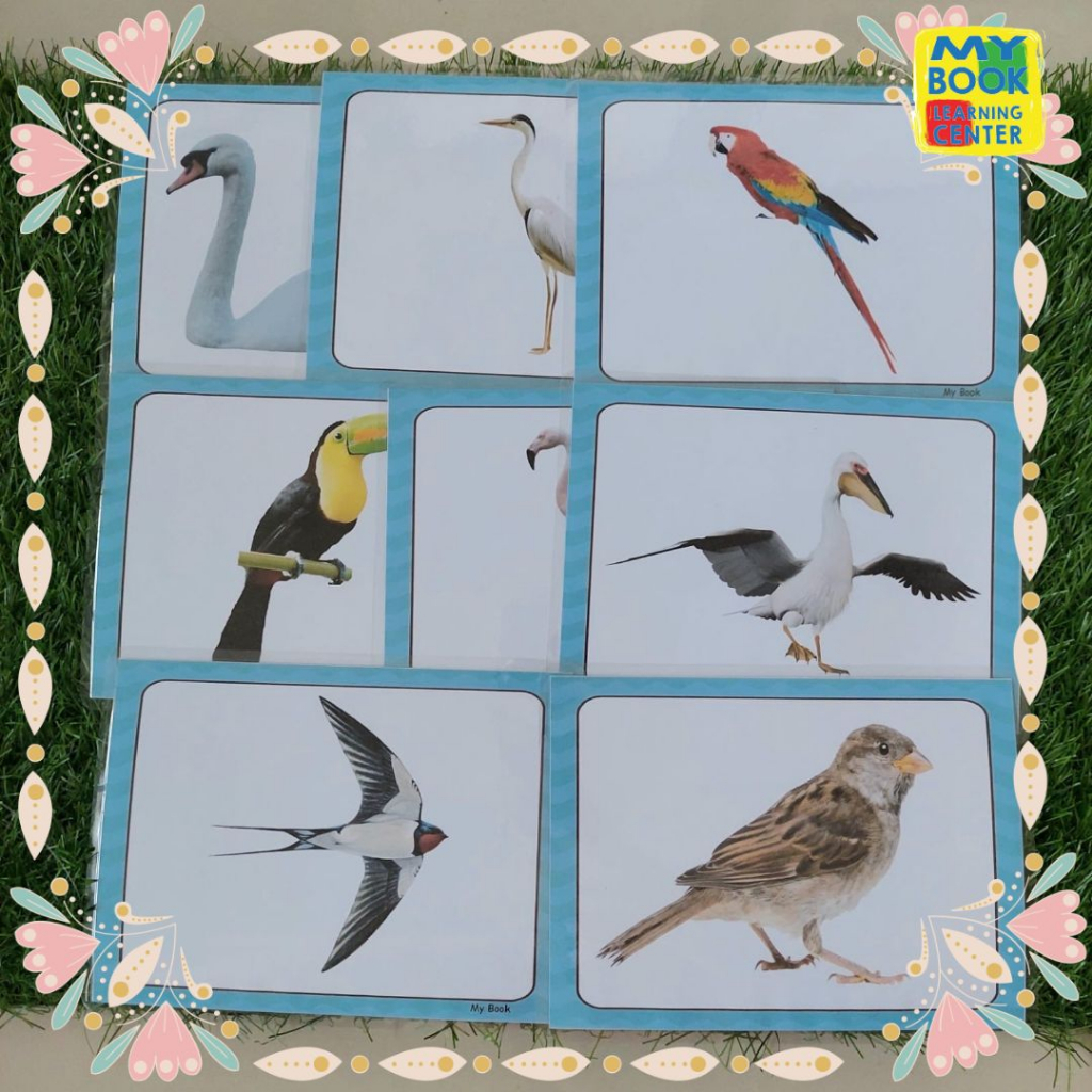 Jual Kartu Mainan Edukasi Anak // Flashcards SIZE JUMBO Tema Macam ...