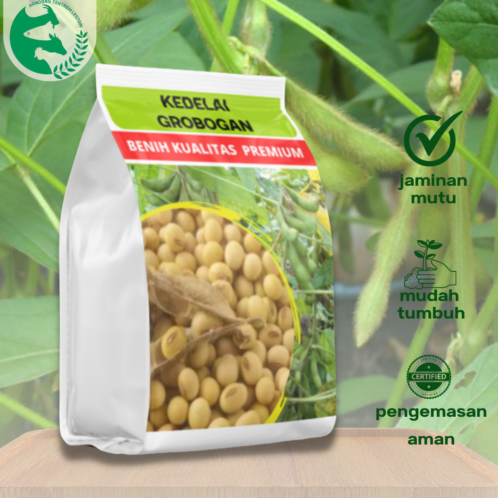 Jual Benih Kedelai Grobogan Premium 1 kg Unggul Produksi Tinggi non GMO ...