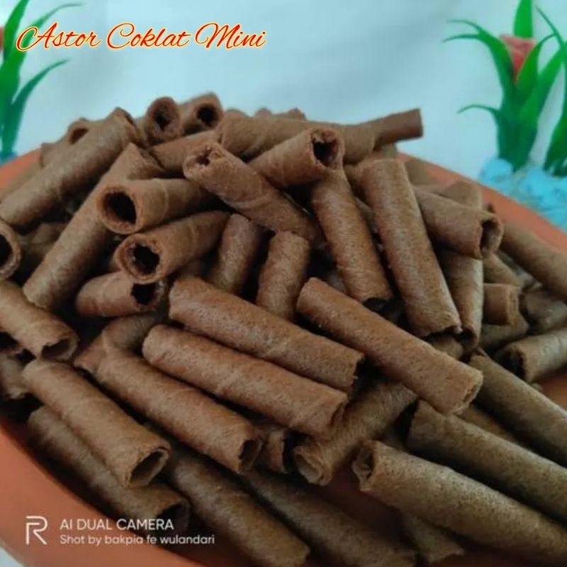 Jual ASTOR COKLAT MINI 250 GRAM WAFER BARCELONA | Shopee Indonesia
