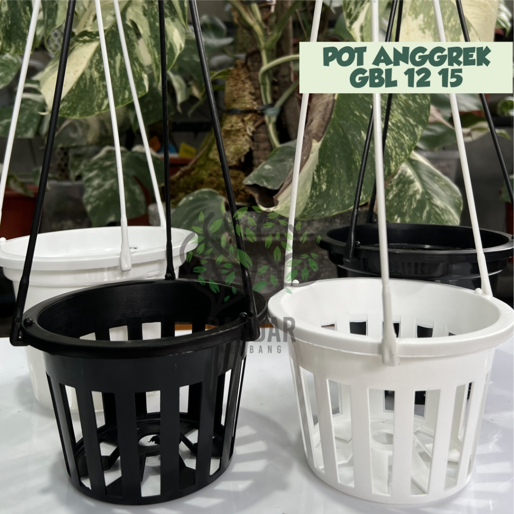 Jual Pot Anggrek GBL 12 & 15 Free Tali Gantung Pot Warna Hitam Putih ...