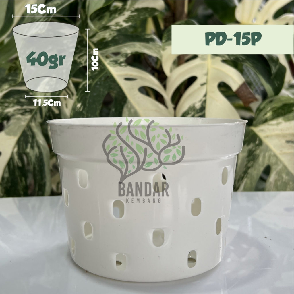 Jual Pot Anggrek Dendrobium Berbagai Macam Ukuran Pot Hidroponik Pot ...