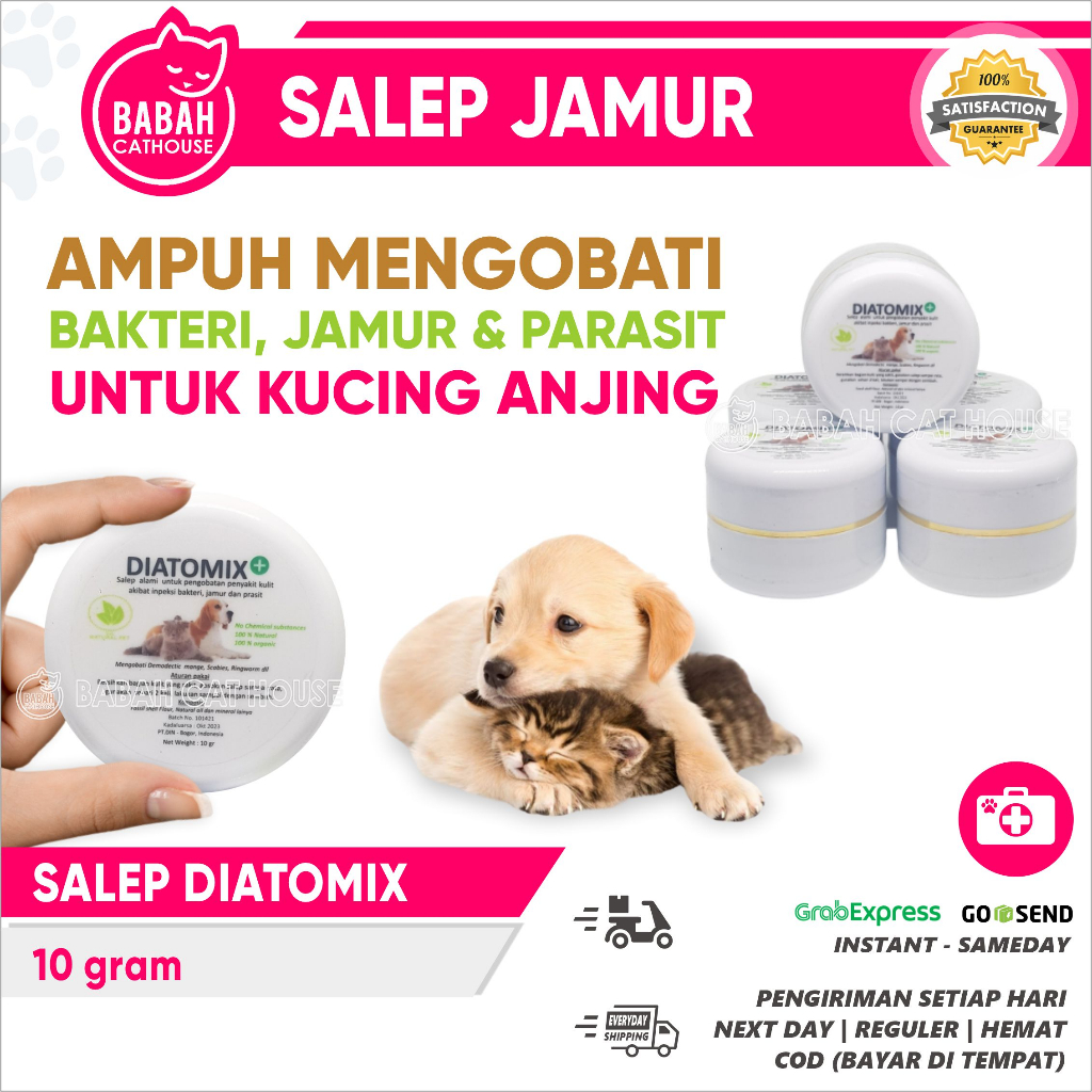 Jual SALEP DIATOMIX Obat Scabies Kucing Cream Demodex Anjing Anti Kutu ...