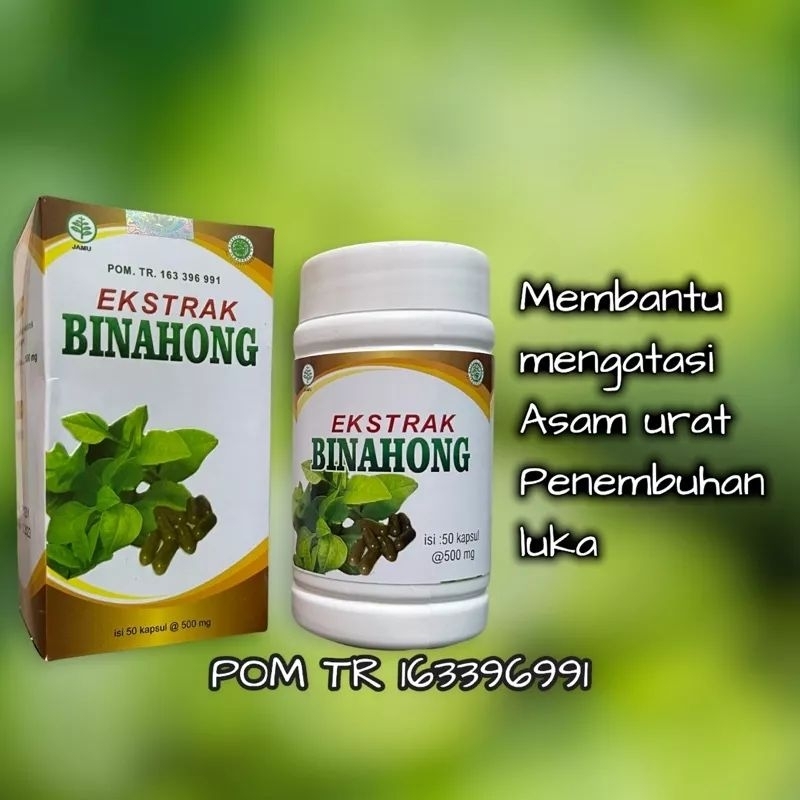 Jual Kapsul Daun Binahong Original BPOM | Shopee Indonesia