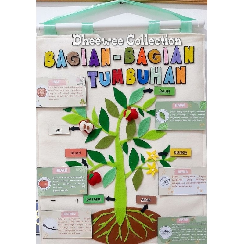 Jual Alat peraga bagian bagian tumbuhan.mainan edukasi tumbuhan ...
