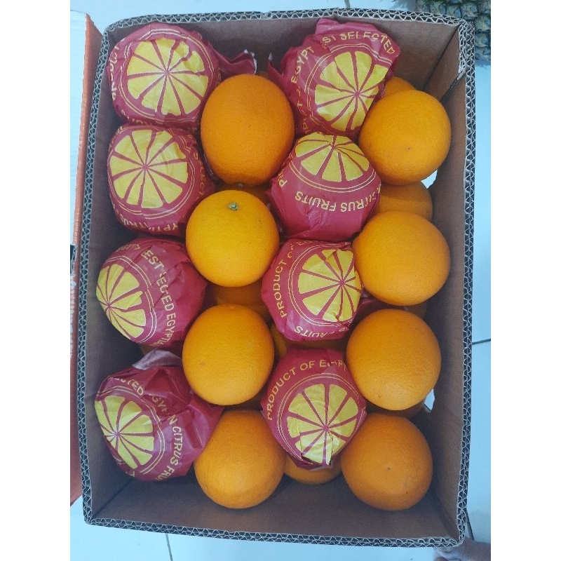 Jual jeruk potong import valensia /1 kg | Shopee Indonesia