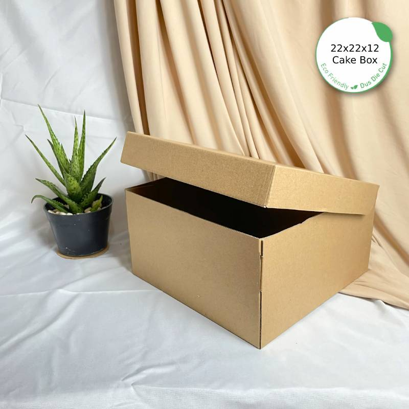 Jual Kardus box packing medium 20x15x5 / 21x21x5 / 20x20x8 / 25x15x3 ...