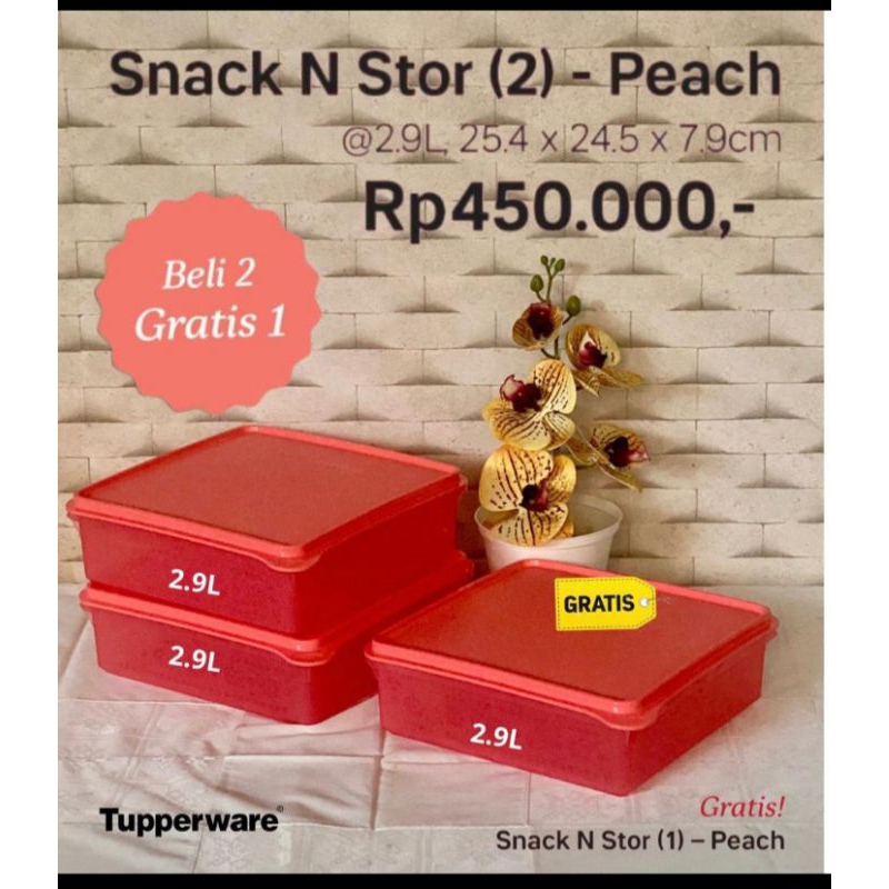 Jual Tupperware snack n stor | Shopee Indonesia