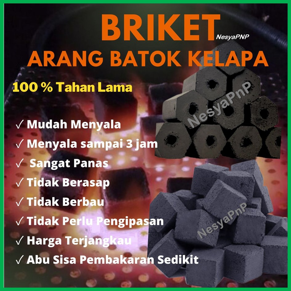 Jual Arang Briket Areng Batok Kelapa 1kg BBQ Awet Tahan Lama ...