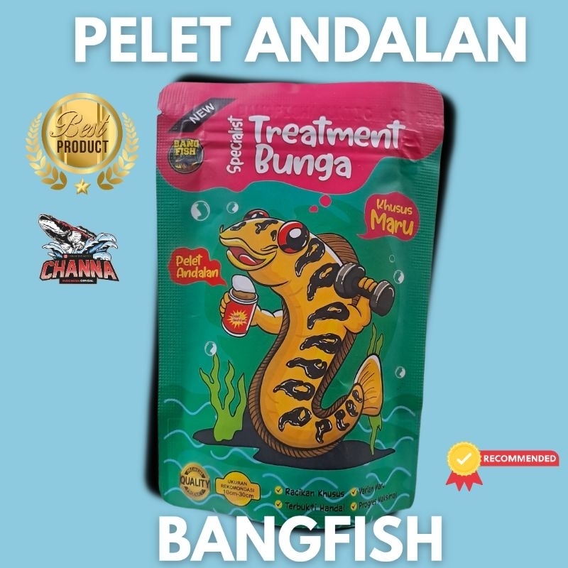 Jual PELET ANDALAN BANGFISH X FAJAR ARIF 60 GRAM (HARGA PROMO SPESIAL ...