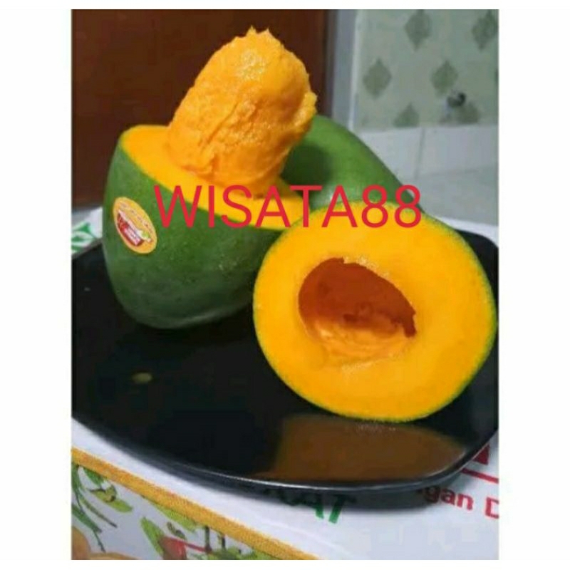 Jual mangga alpukat super manis grade A 500gr | Shopee Indonesia