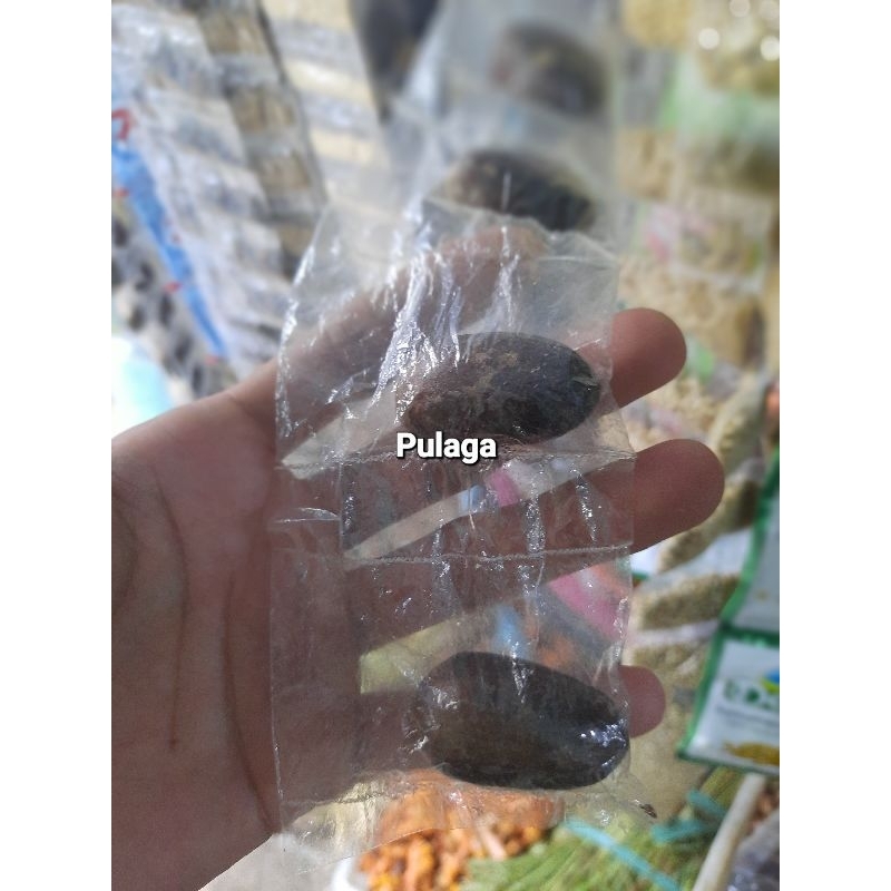 Jual Pulaga Rempah dapur | Shopee Indonesia