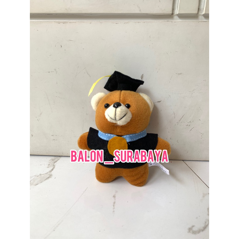 Jual Boneka Graduation / Boneka Wisuda Kecil | Shopee Indonesia