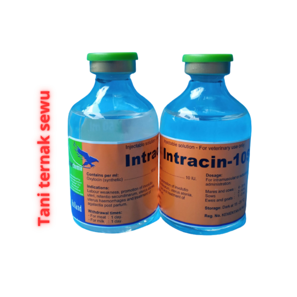 Jual INTRACIN 10S 50ml - Hormon Perangsang Kontraksi Uterus Dan Kelenjar Susu Hewan | Shopee ...